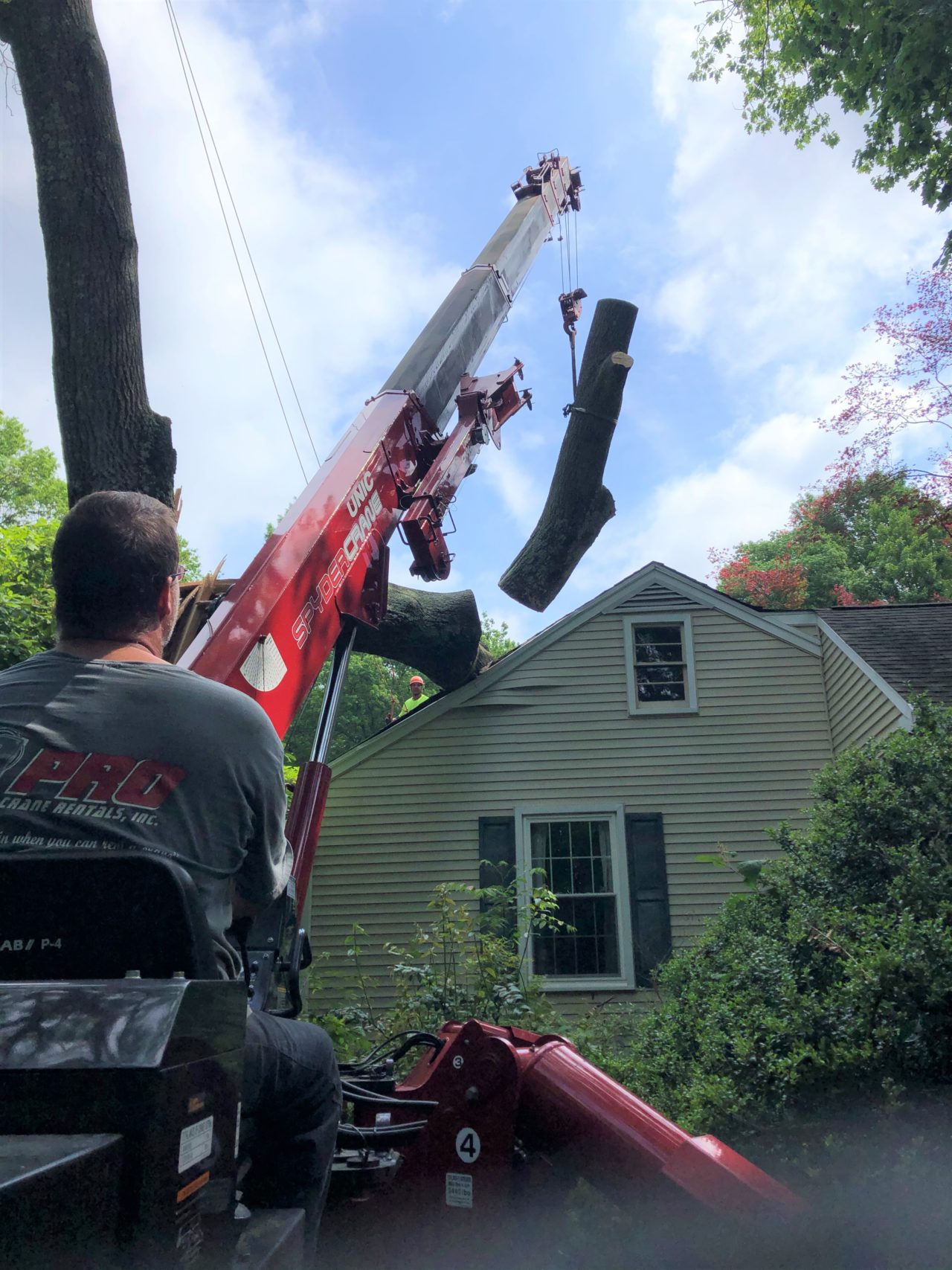 Crane Rentals - Pro Crane & Rigging